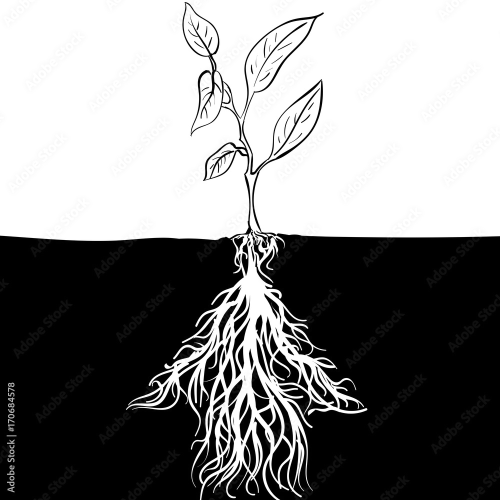 Sprout sketch with crooked root Arrow up potential Stock Vector | Adobe ...