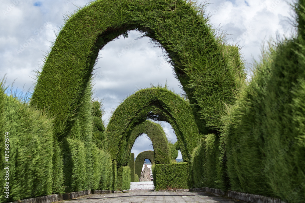Tulcan, Ecuador: green arches in the extensive topiary of the local ...