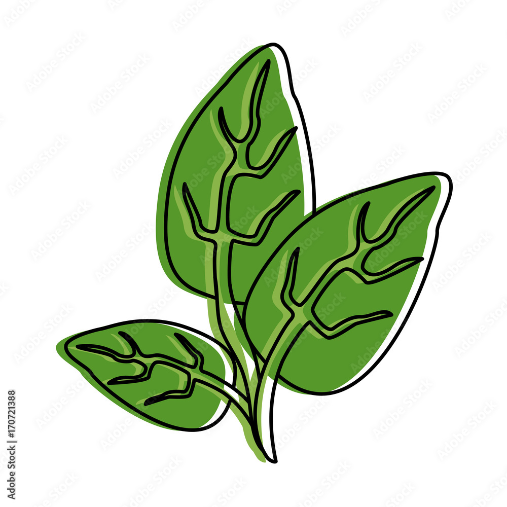 leaves with stem icon image vector illustration design Stock Vector ...