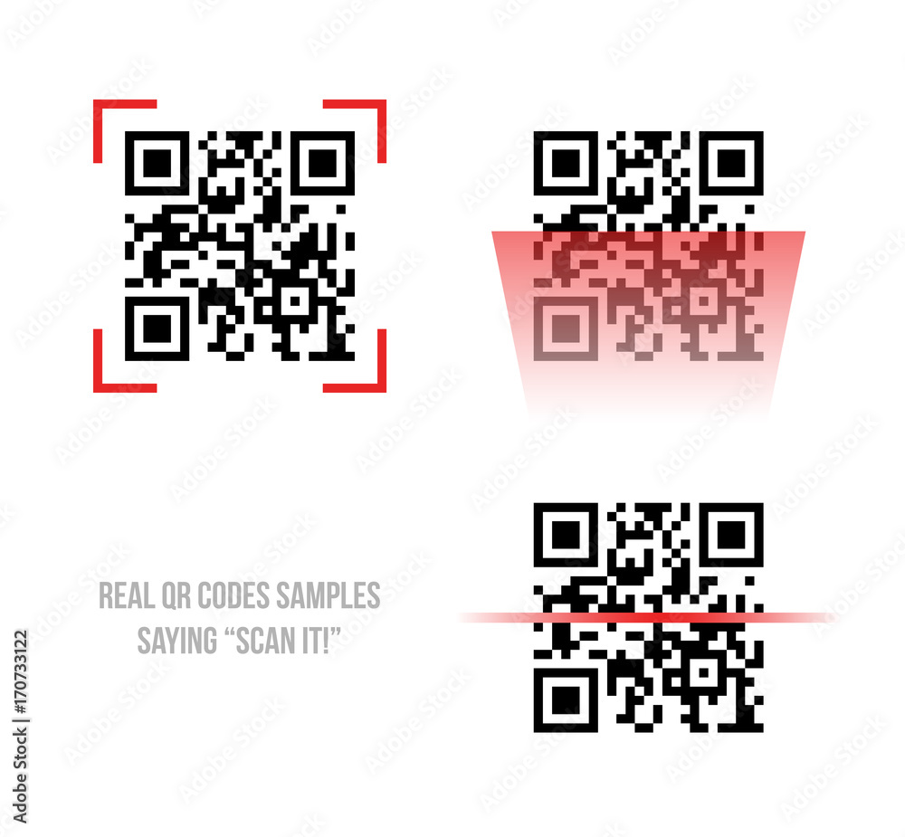 Vector illustration of Qr code samples. Scanned Qr codes reads Scan it ...