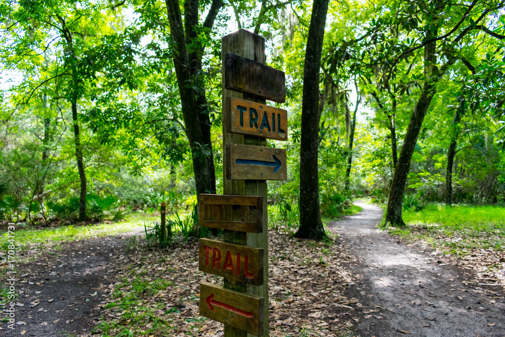 wooden trail sign where the nature path splits into two seen while ...