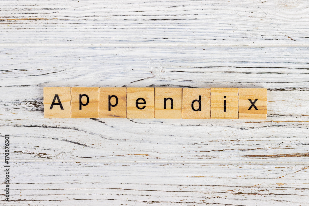 APPENDIX word made with wooden blocks concept Stock Photo | Adobe Stock