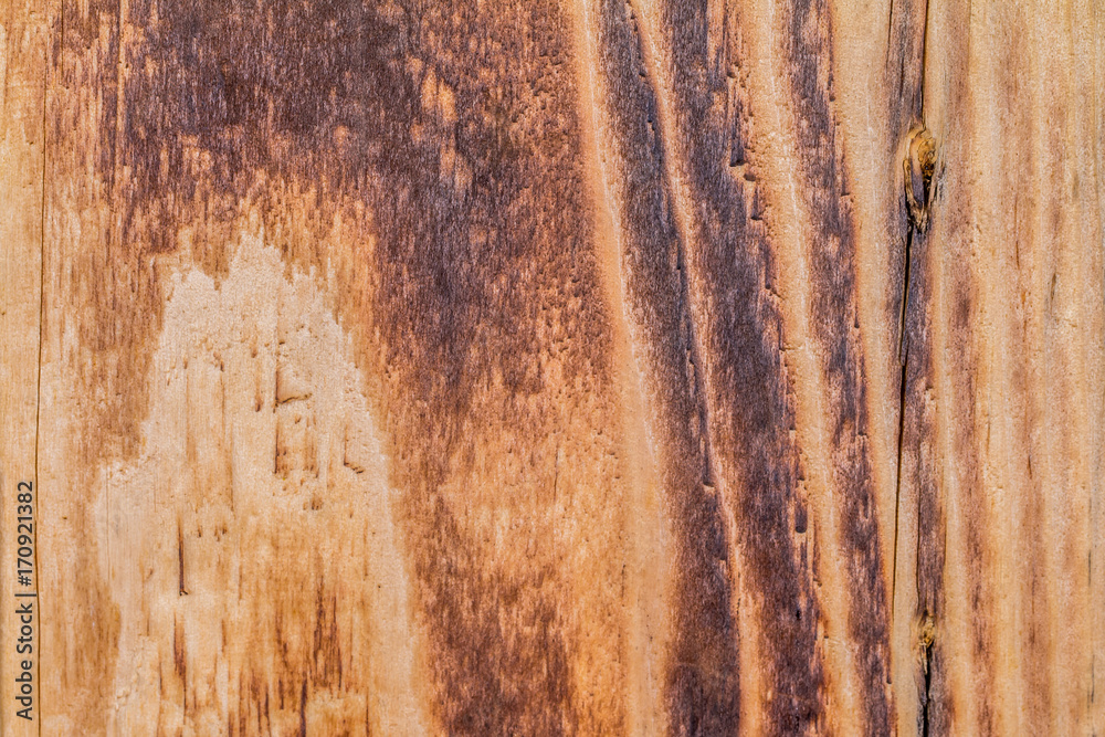 Flamed wood texture Stock Photo | Adobe Stock