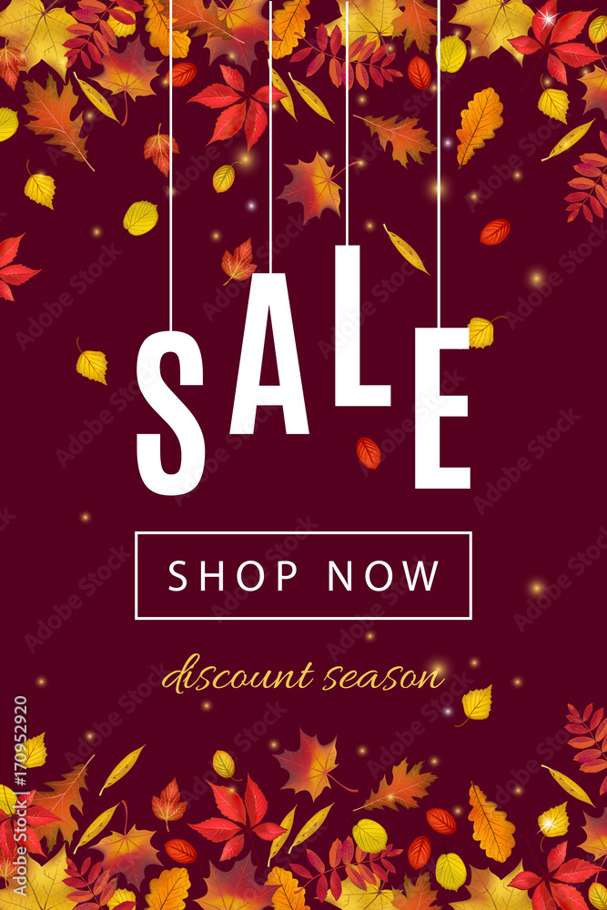 Autumn discount sale banner template with fall leaves on dark brown ...