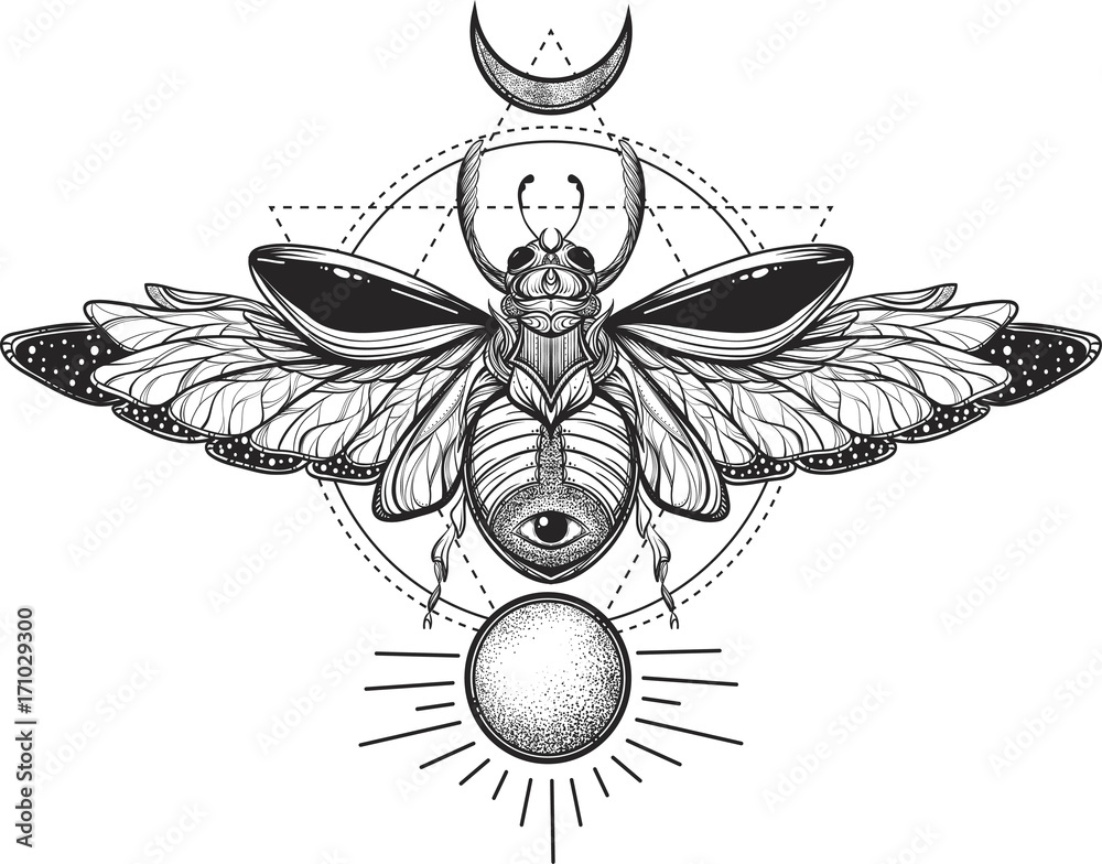 Beetle bug tattoo drawing. Scarab bug illustration on sacred geometry ...