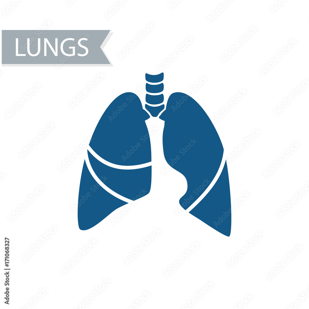 Vector silhouette medical illustration of human body organ - lungs with ...