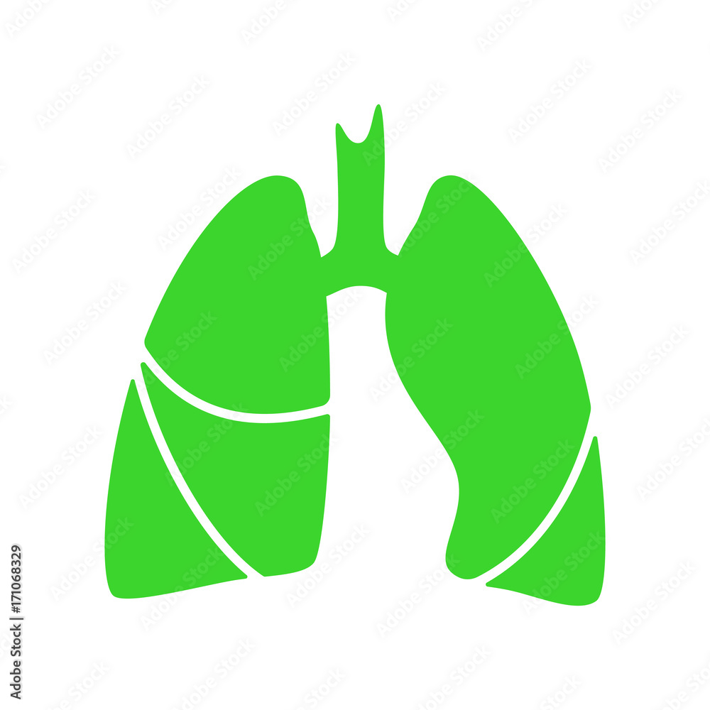 Vector silhouette medical illustration of human body organ - lungs with ...