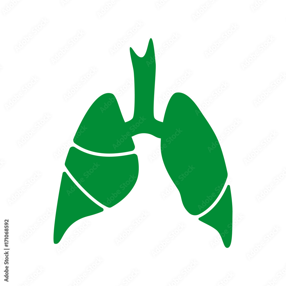 Vector silhouette medical illustration of human body organ - lungs with ...