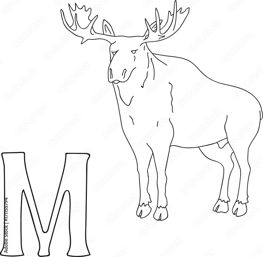 Vector hand drawn illustration capital letter M on alphabet card. Black ...