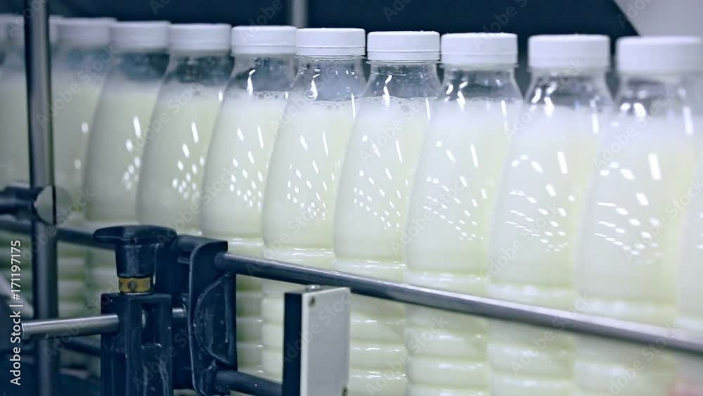 Dairy factory conveyor line. Milk bottles on conveyor belt at dairy ...