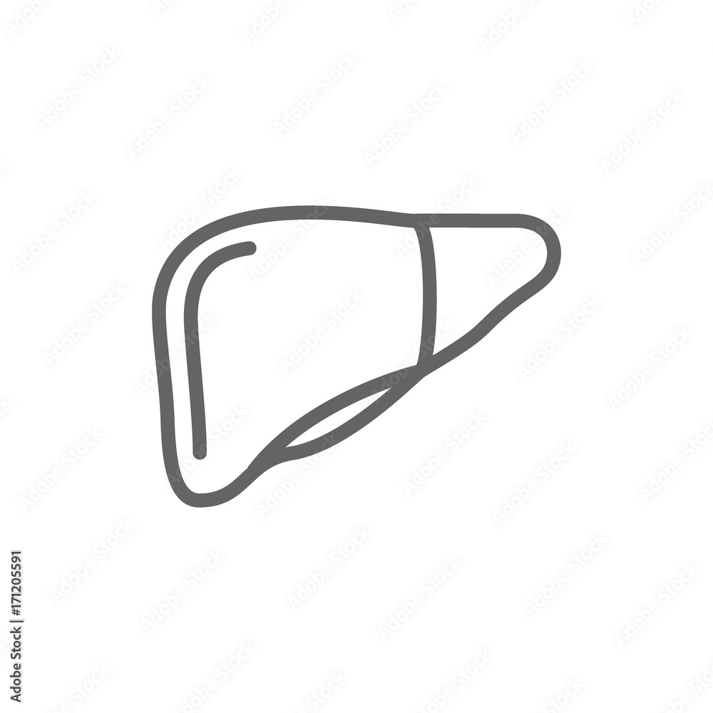 Simple liver line icon. Symbol and sign vector illustration design ...