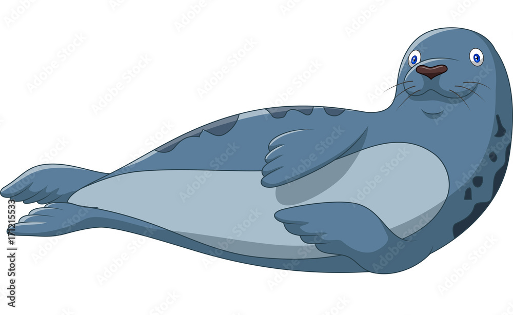 Cartoon seal isolated on white background Stock Vector | Adobe Stock