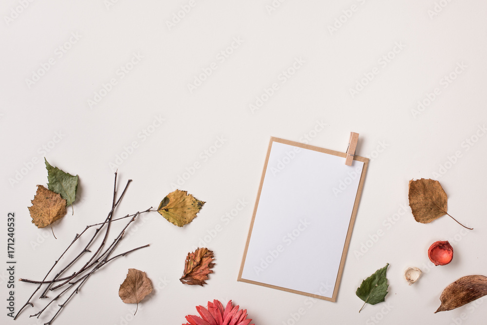 Autumn background with copy space for text from top: autumn plants and ...