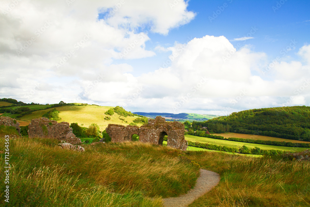 Castle Hills Forest