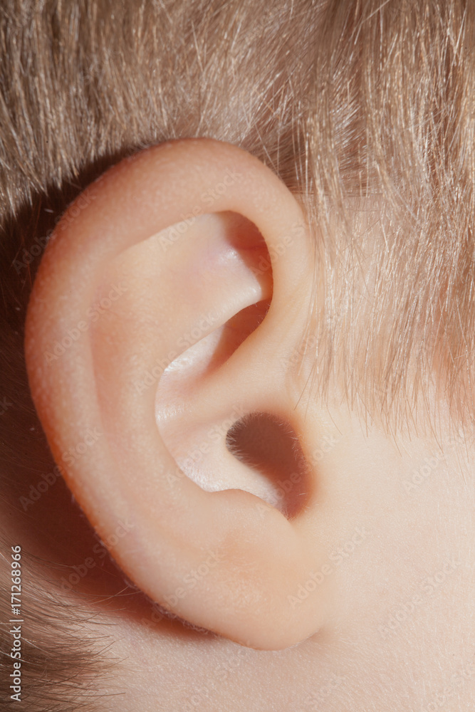 Human ear, body parts, anatomy, close-up, Stock Photo | Adobe Stock