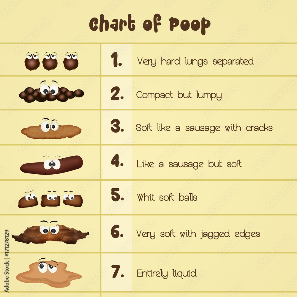 various types of stools Stock Illustration | Adobe Stock