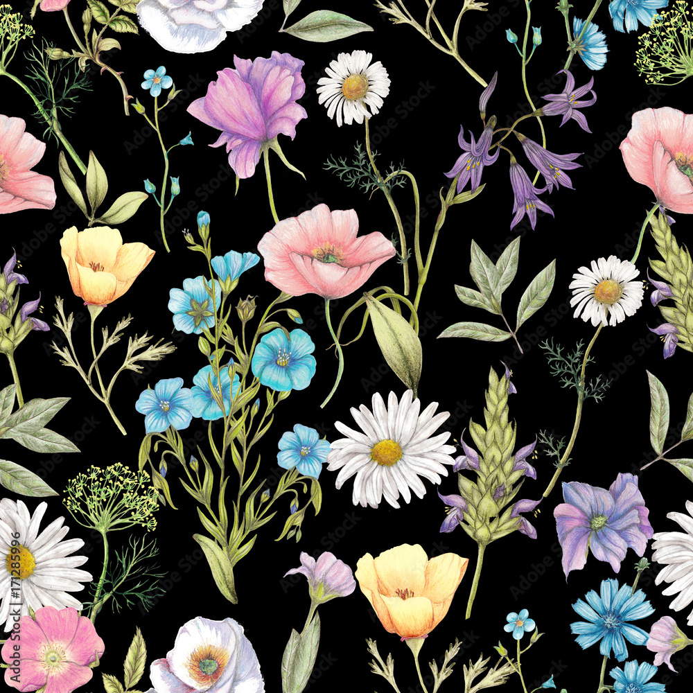 Seamless pattern of garden wildflowers Stock Illustration | Adobe Stock