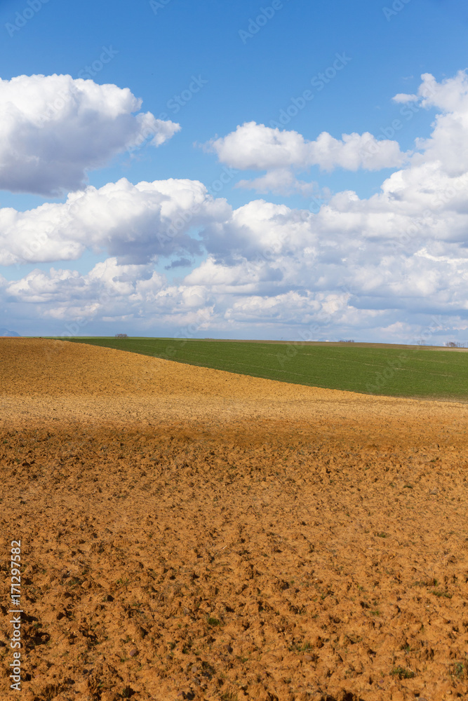 Paisaje con tierras en barbecho aradas recientemente y cultivos de cereal. Con nubes algodonosas ...