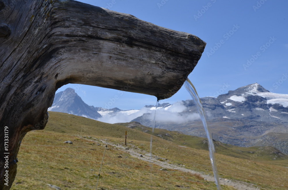 Bachal, ou bassin d'eau aménagé dans un tronc d'arbre, dans le parc de ...