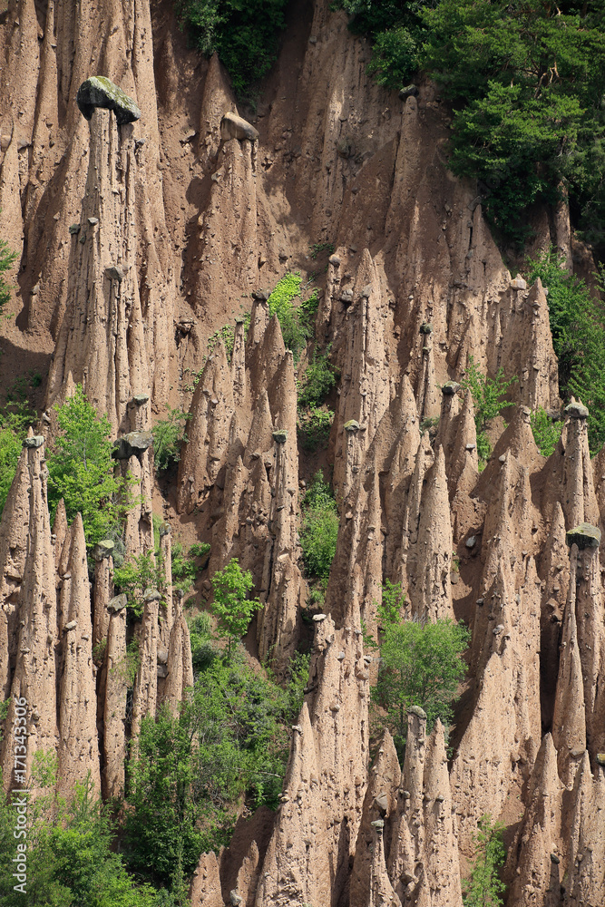 Erdpyramiden, Percha, Trentino, Alto Adige, Südtirol, Italien, Europa ...
