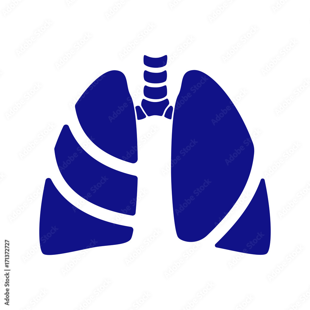 Vector silhouette medical illustration of human body organ - lungs with ...