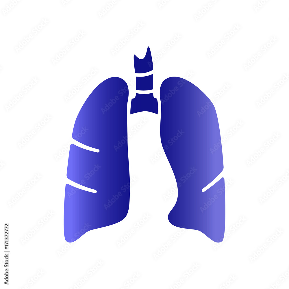 Vector silhouette medical illustration of human body organ - lungs with ...