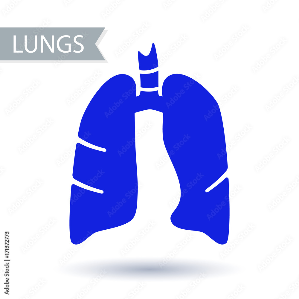 Vector silhouette medical illustration of human body organ - lungs with ...