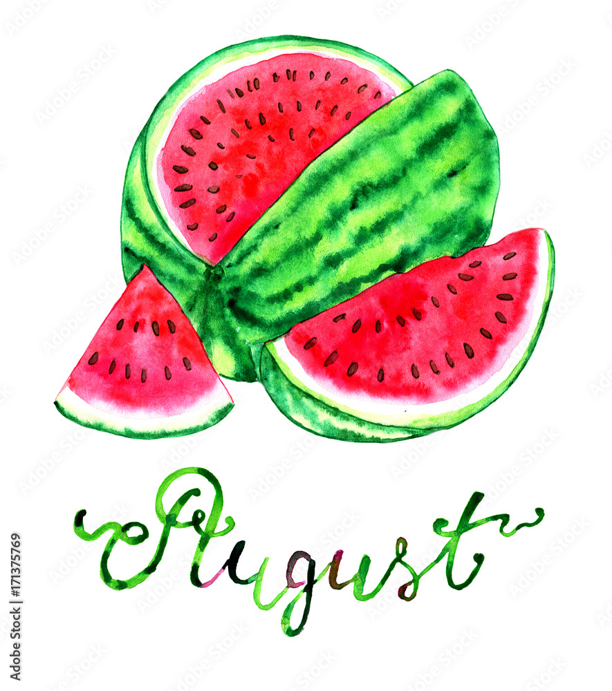 August. Ripe watermelon. Watercolor isolated illustration for calendar ...