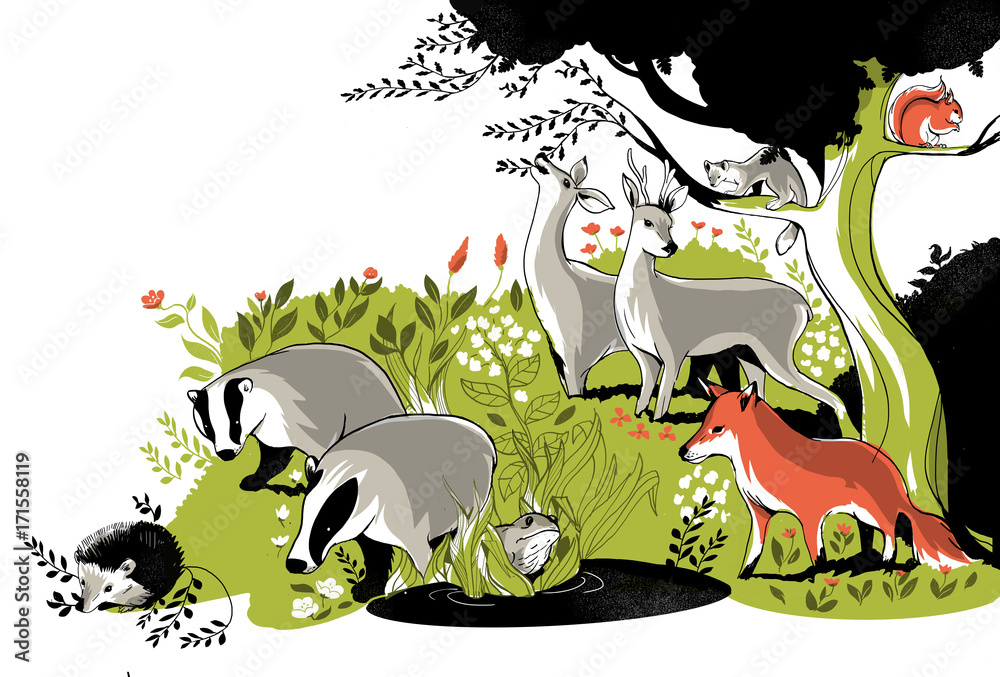Wild Animals in a Garden Stock Illustration | Adobe Stock