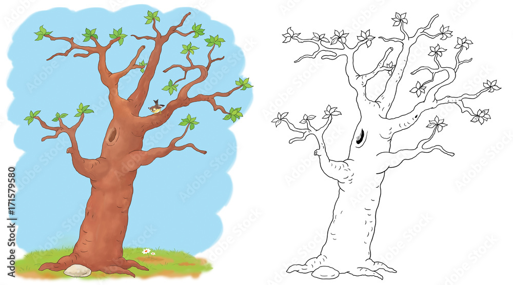 Four seasons. A spring tree. Coloring page. Illustration for children ...