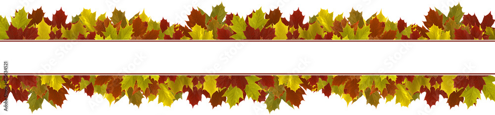 Autumn leaves border isolated on white background Stock Photo | Adobe Stock
