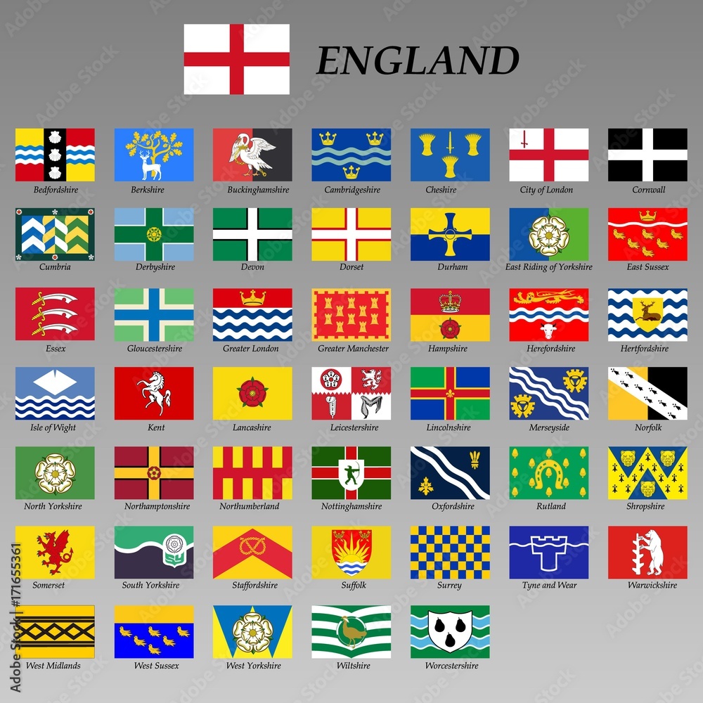 all flags of counties of england Stock Vector | Adobe Stock