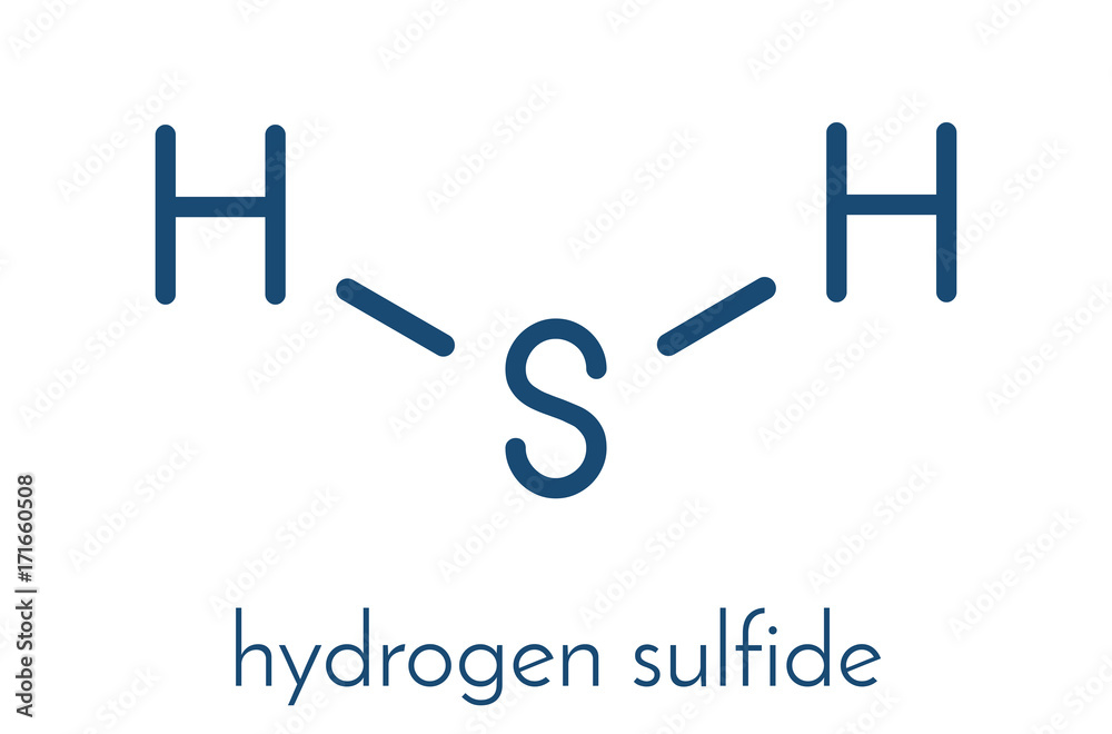 Hydrogen Sulfide Lewis Structure