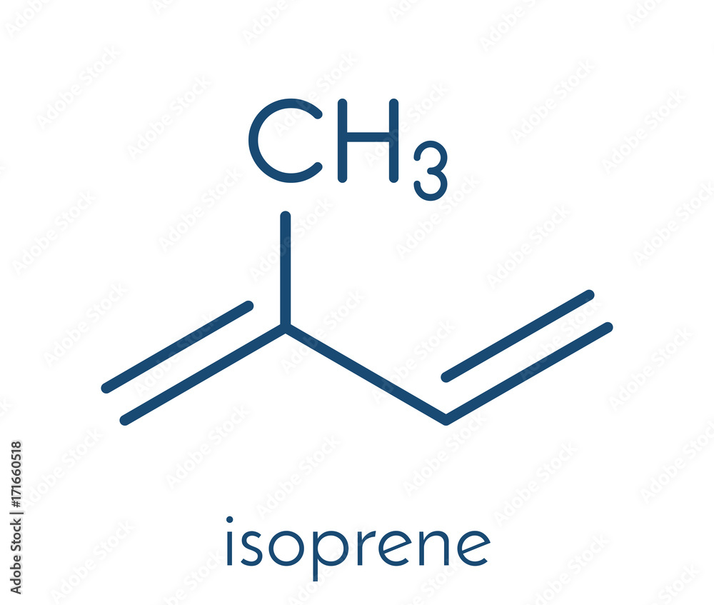 Isoprene, rubber (polyisoprene) building block (monomer). Skeletal ...