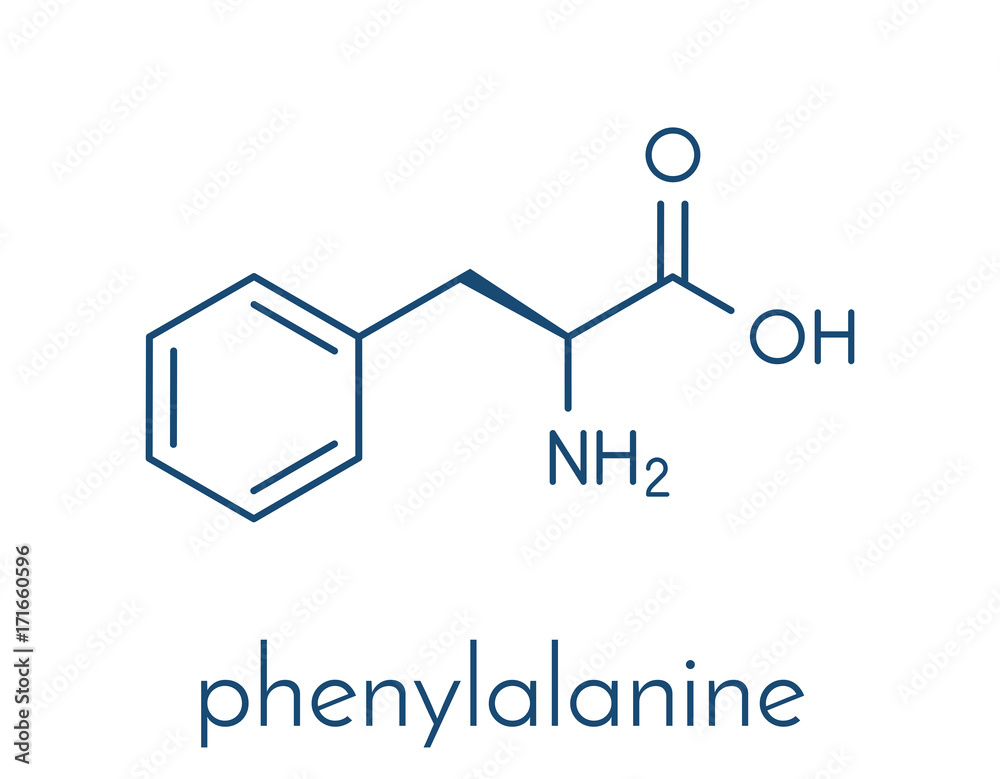 Phenylalanine (L-phenylalanine, Phe, F) amino acid molecule. Skeletal ...