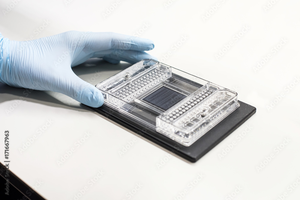 Female scientist on a laboratory of genetic research with a DNA chip ...