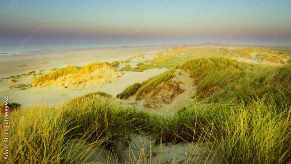 Atlantic wall bunkers hidden underneath high dunes Terschelling island ...