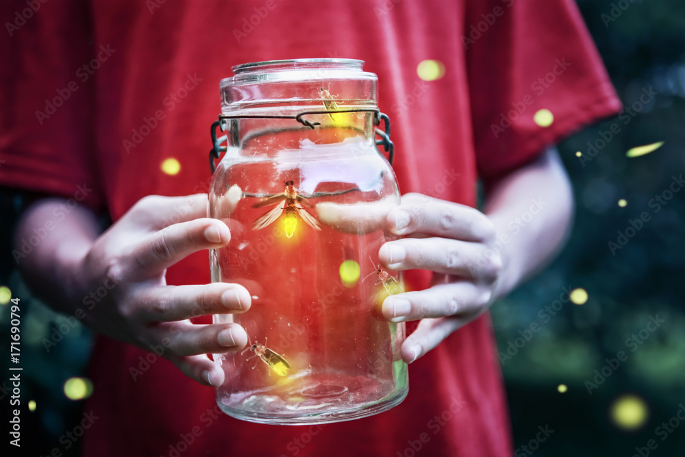 Fireflies in a jar Stock Photo | Adobe Stock