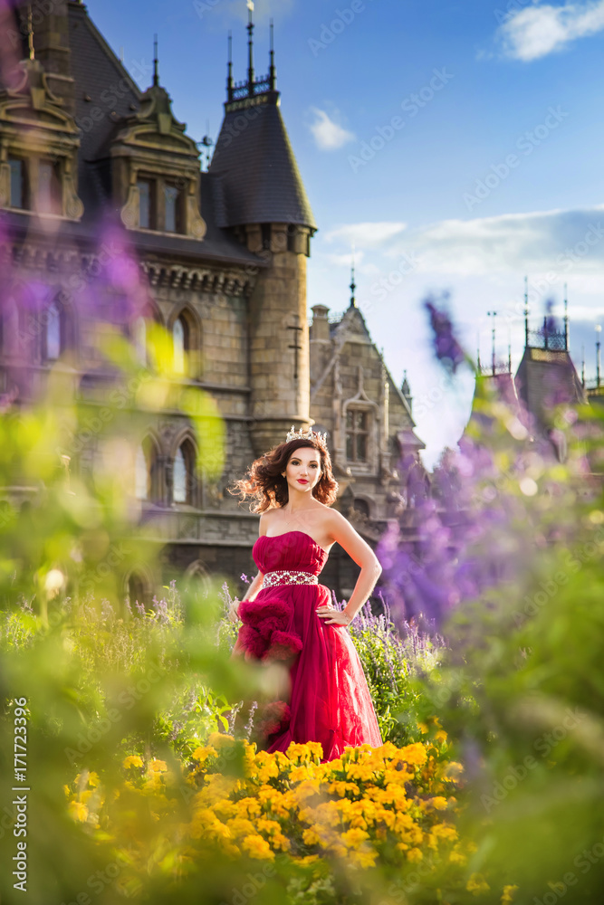 Real Princess Castle