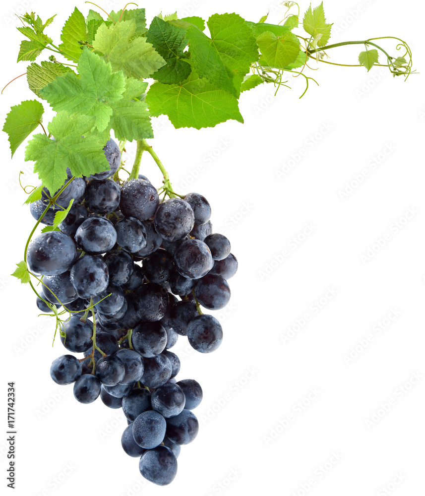 Grappe Raisin