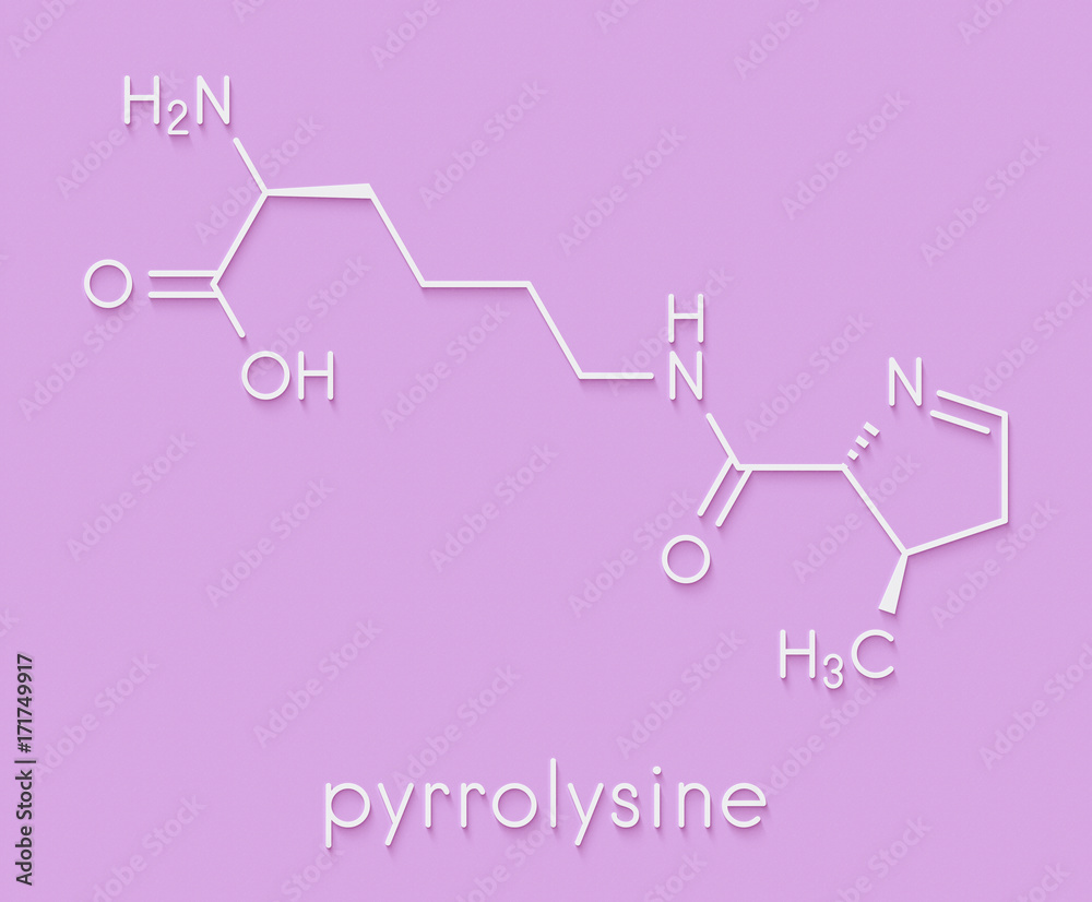 Pyrrolysine (l-pyrrolysine, Pyl, O) amino acid molecule. Skeletal ...