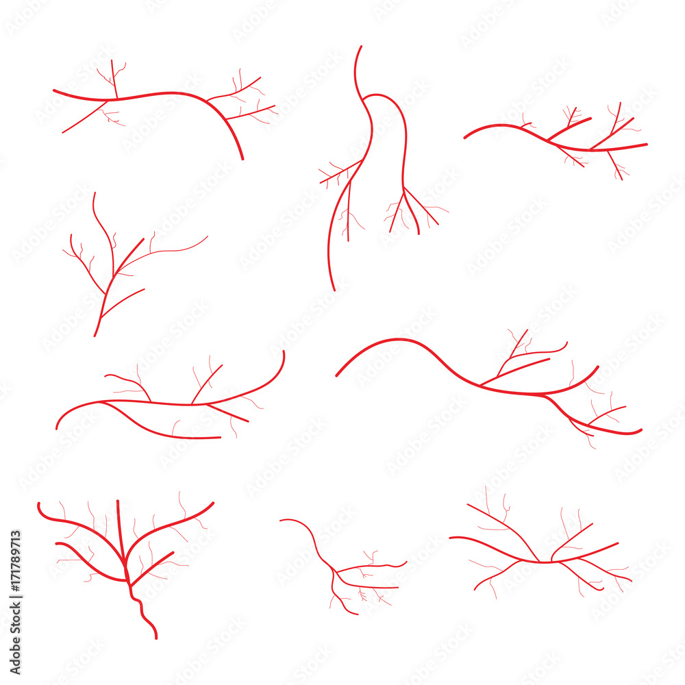 Illustration - Human eye veins, vessel, blood arteries isolated on ...