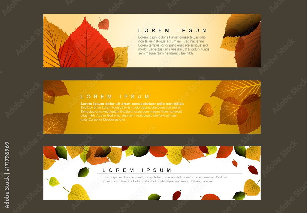 Autumn Web Banners Layout 1 Stock Template | Adobe Stock