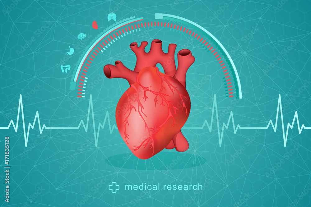 Medical research of human health. Vector drawing of an anatomically ...