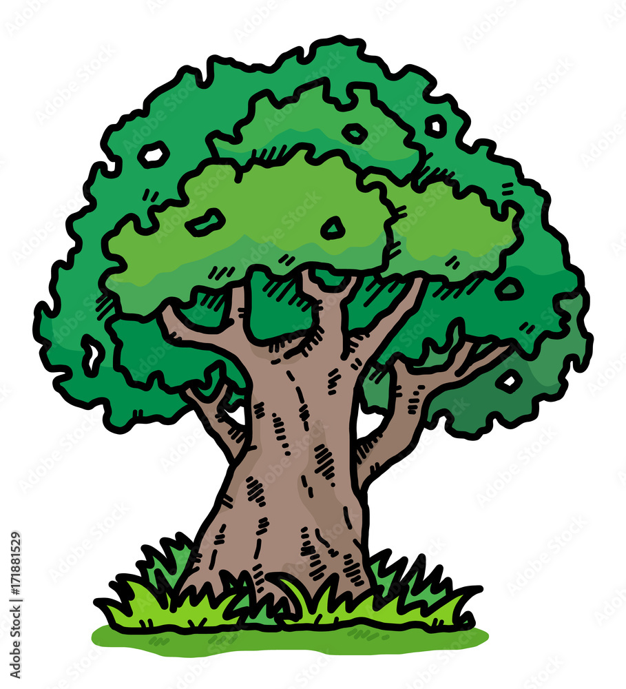 big tree / cartoon vector and illustration, hand drawn style, isolated ...