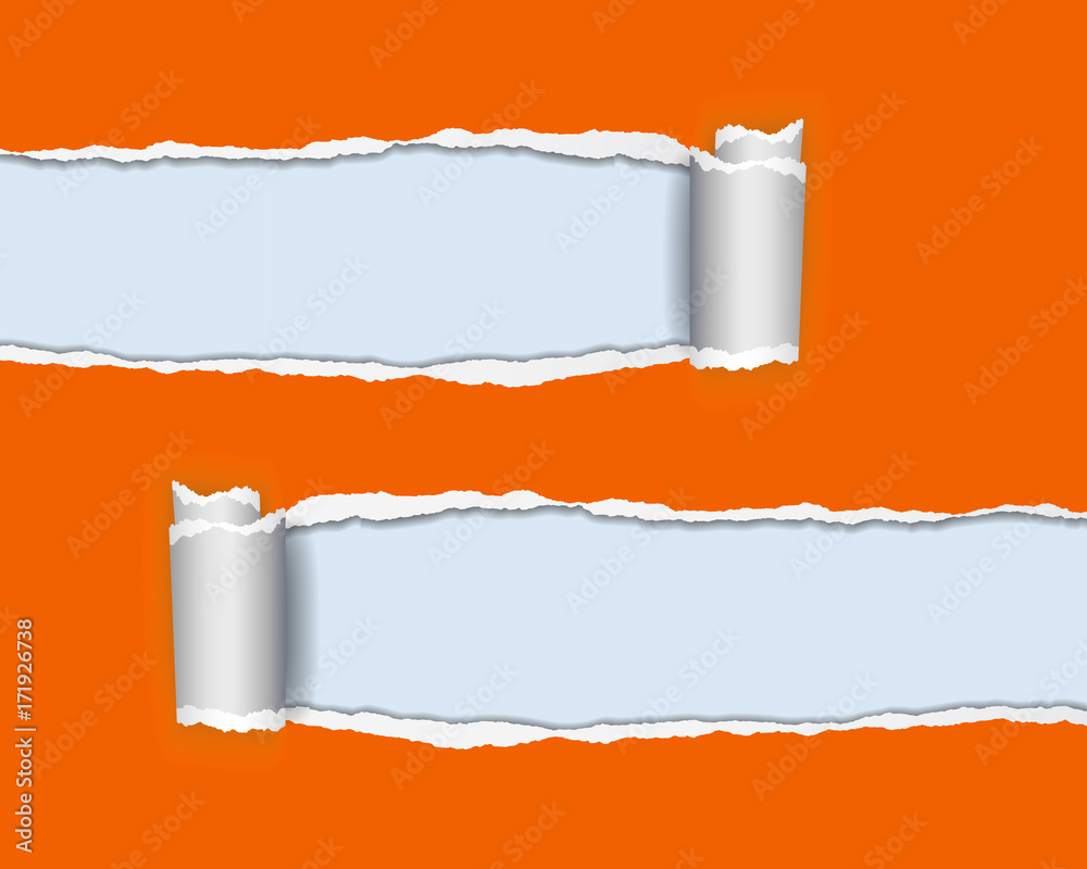 vector realistic illustration of orange torn paper with rolled edge on ...