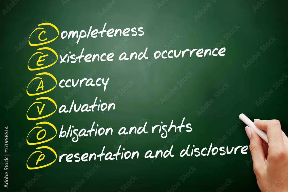 Assertions CEAVOP - completeness existence and occurrence accuracy ...