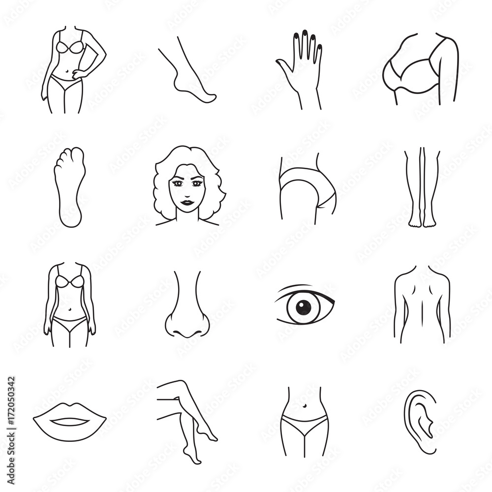 Human body parts icons Stock Vector | Adobe Stock