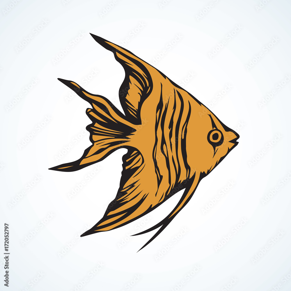 Triangular fish. Vector drawing Stock Vector | Adobe Stock