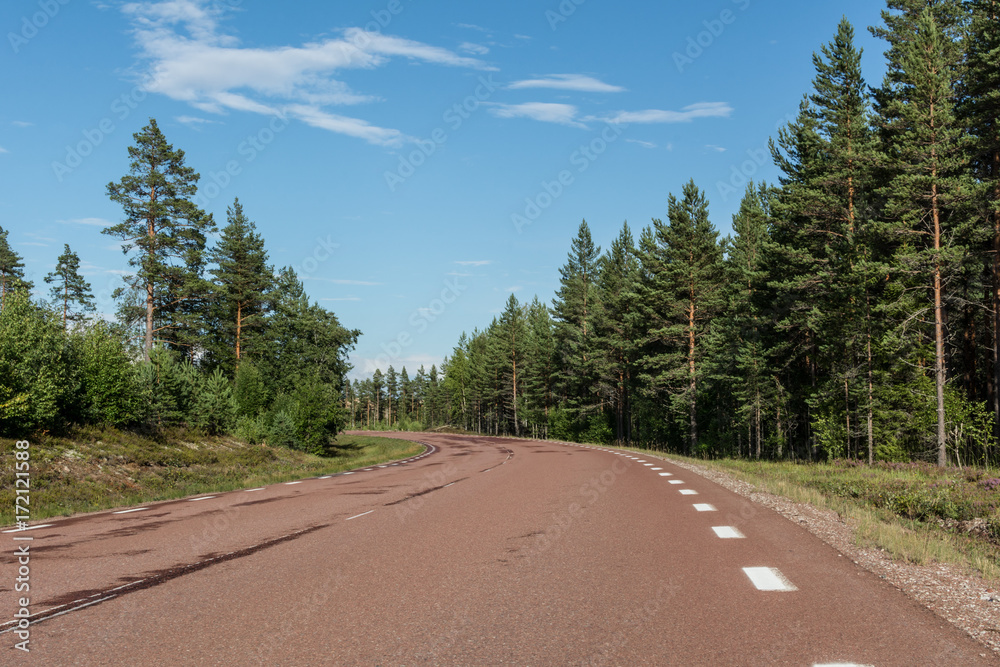 Red tarmac road running through a forest, with a curve in perspective ...